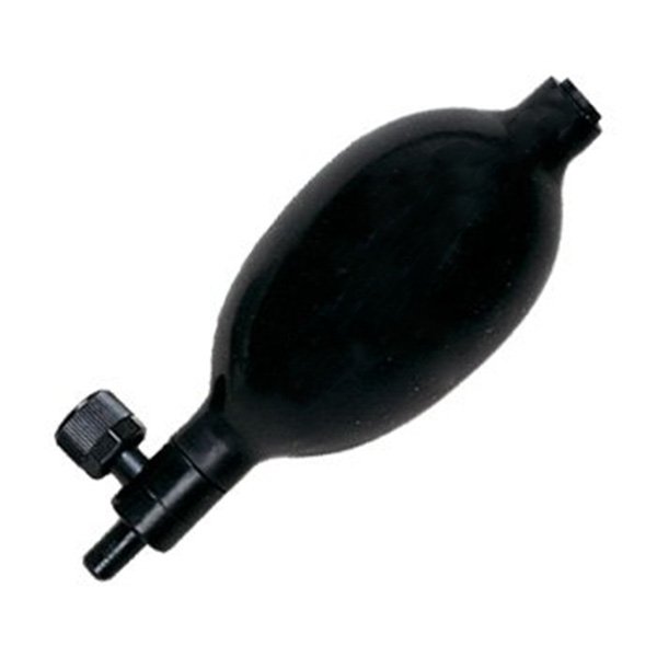 Bulb and Valve Assembly